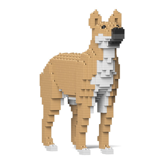 Chiens – JEKCA France