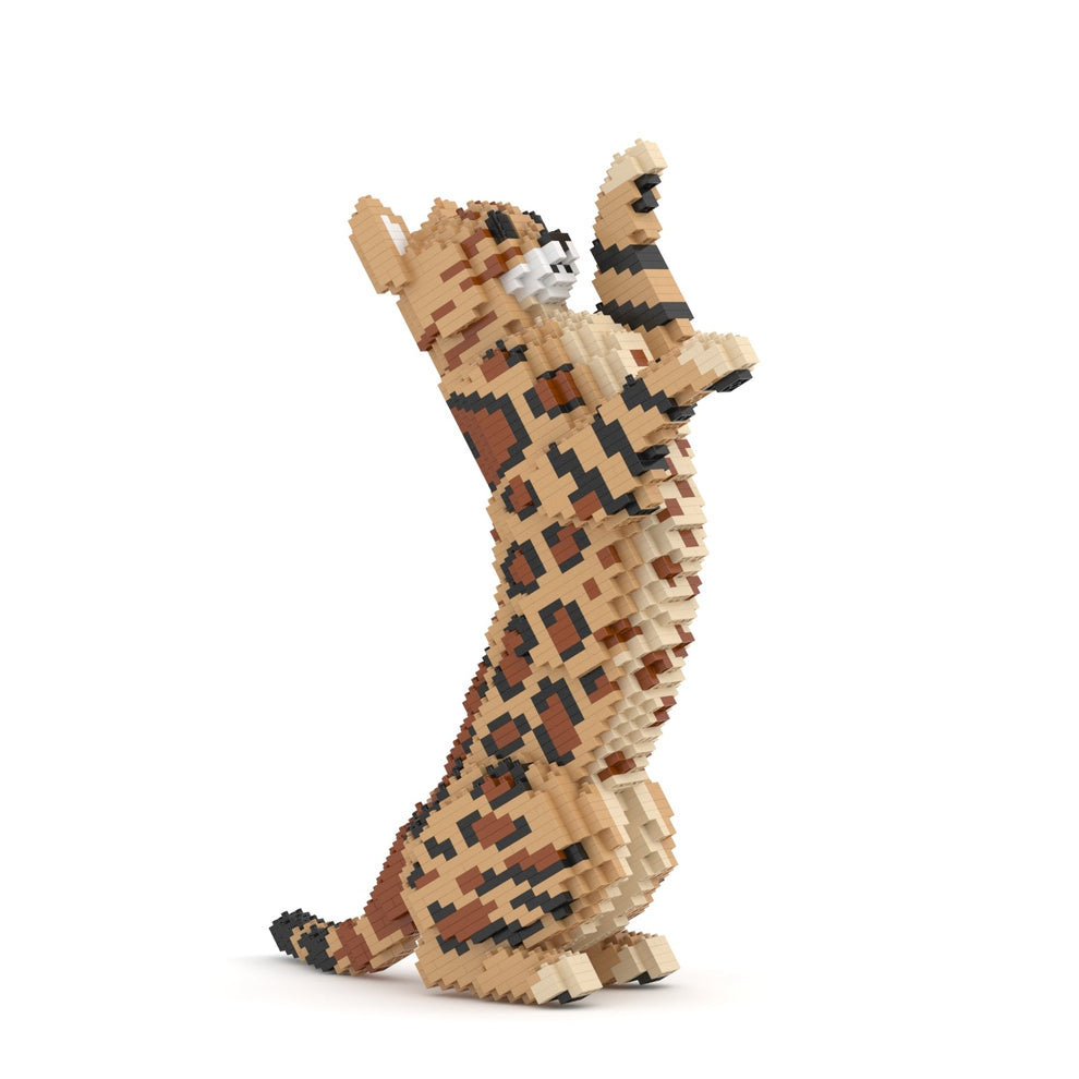 Bengal Cat 4-in-1 Pack 01S-M01 - JEKCA Building Blocks for Kidults ...
