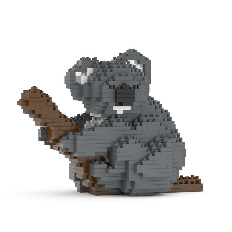 Koala – JEKCA France