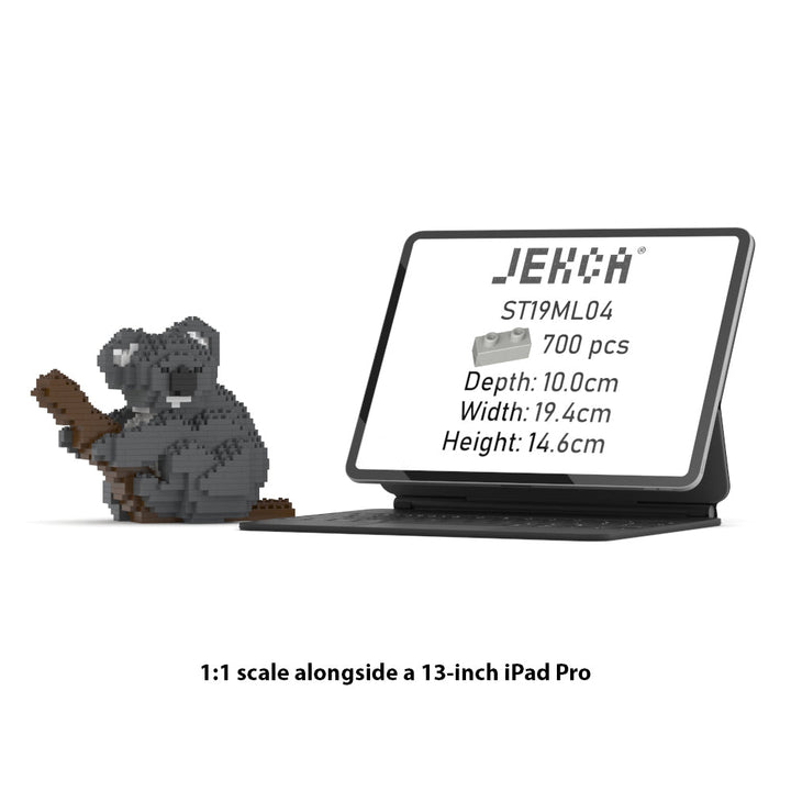 Koala – JEKCA France